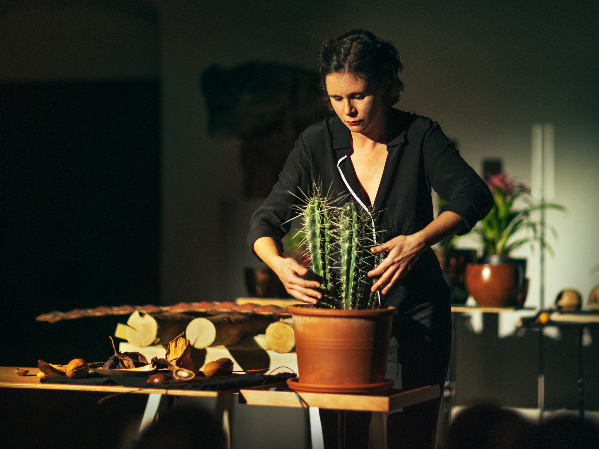 Trees – Louisa Marxen